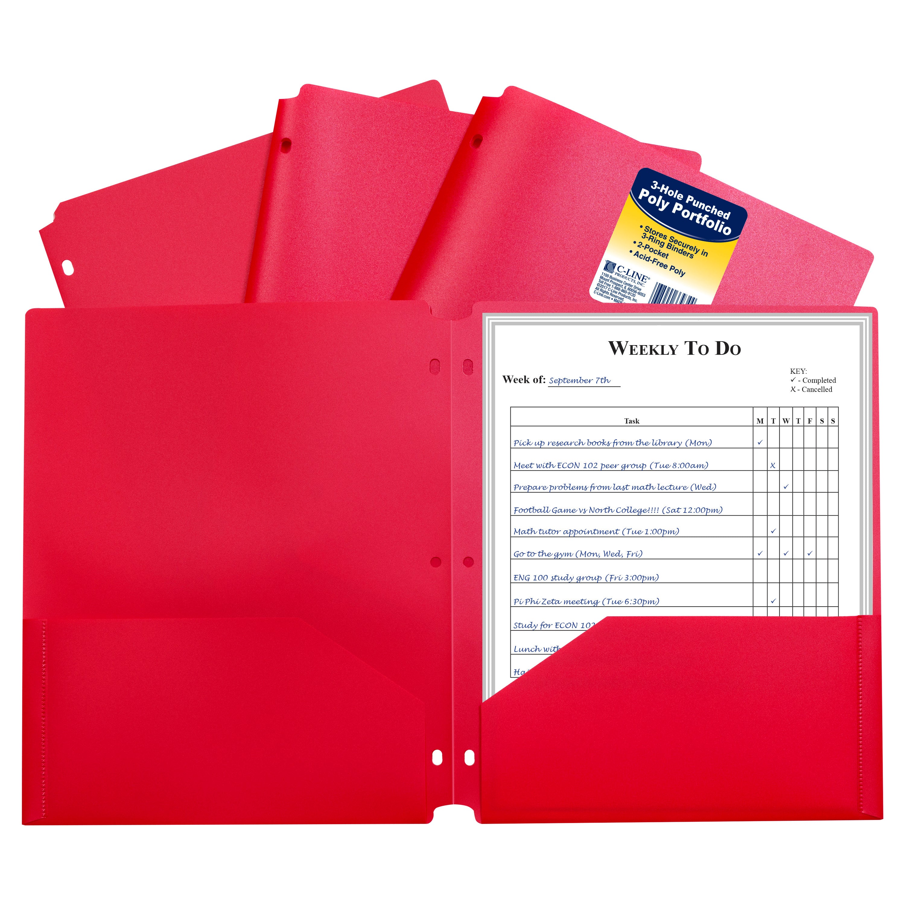 Heavyweight Poly Portfolio Folder with Three-Hole Punch, Red, 1/EA (Se ...